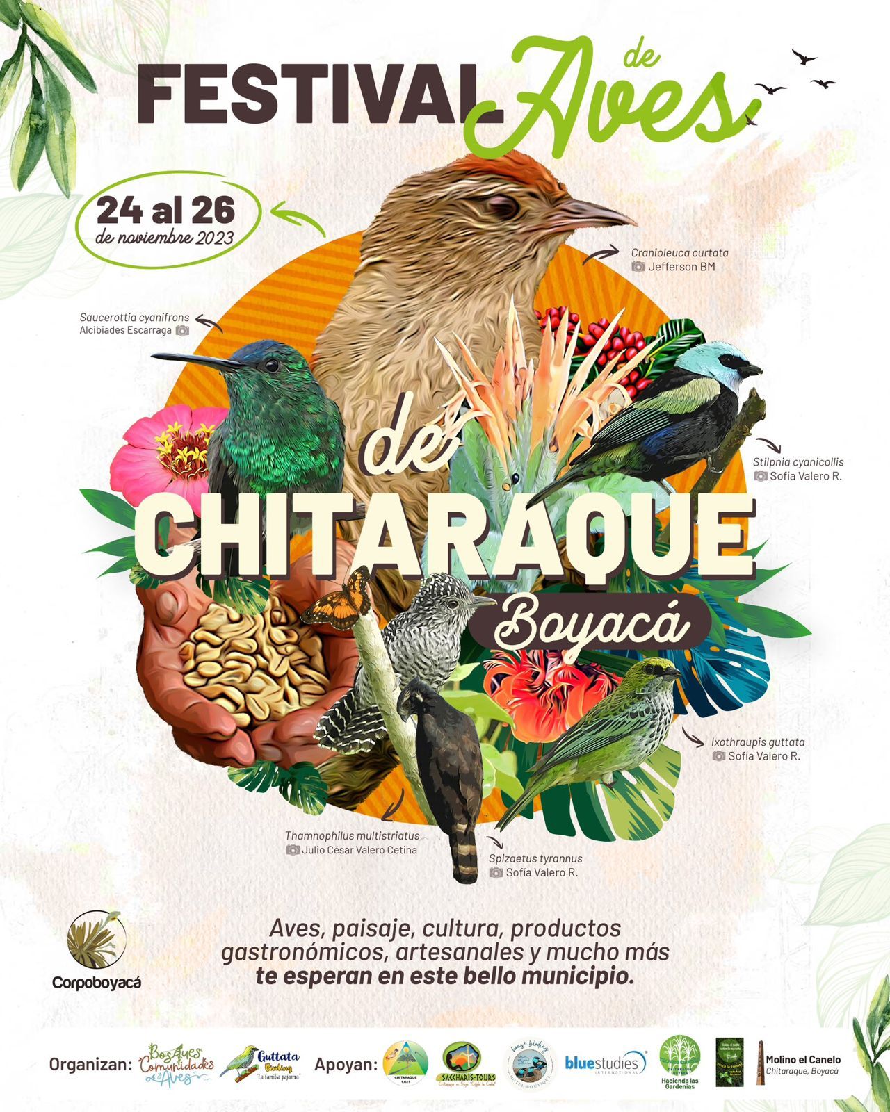 Festival de Aves en Chitaraque